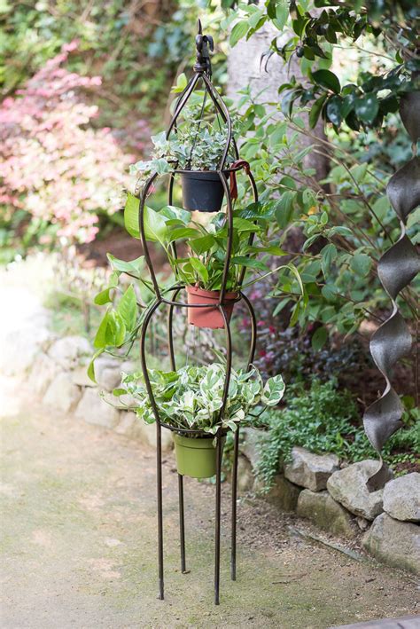 Image result for To Spring Up