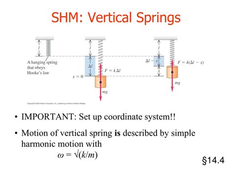 Image result for Vertical Spring SHM Energy Graph