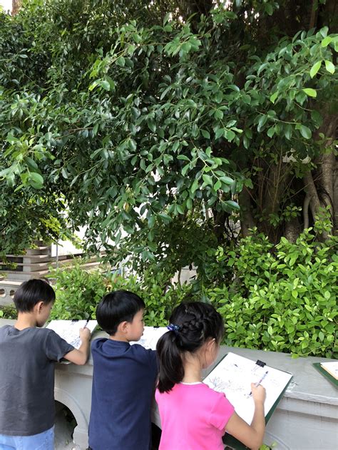 Image result for Creative Class