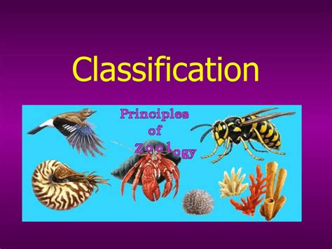 Image result for Classification of Creatures