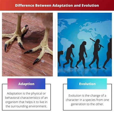 Image result for Adaptation vs Evolution