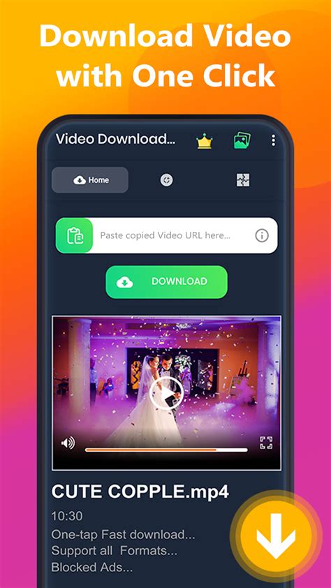 Image result for Video Downloader Software