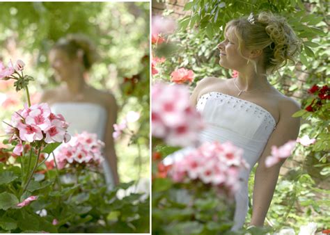 Image result for Shallow Depth of Field Photography Examples