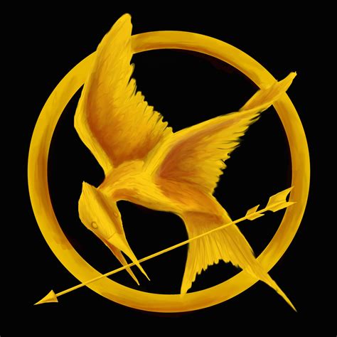 Image result for Hunger Games Catching Fire Mockingjay
