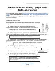Image result for Human Evolution Worksheet