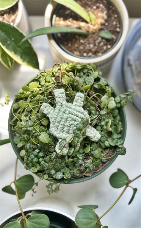 Image result for Macrame Turtle Keychain