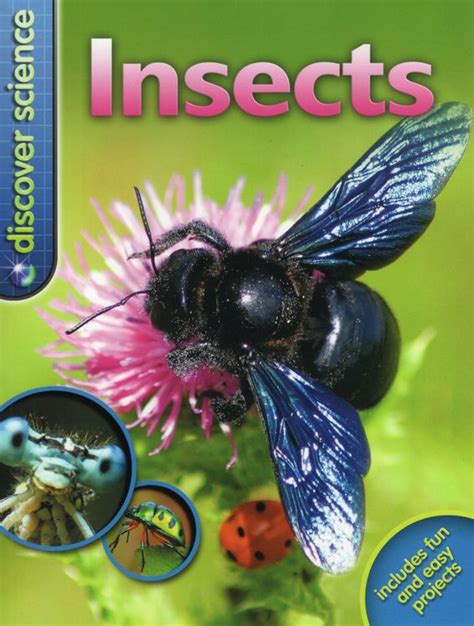 Image result for Project Science Insects Book Cover