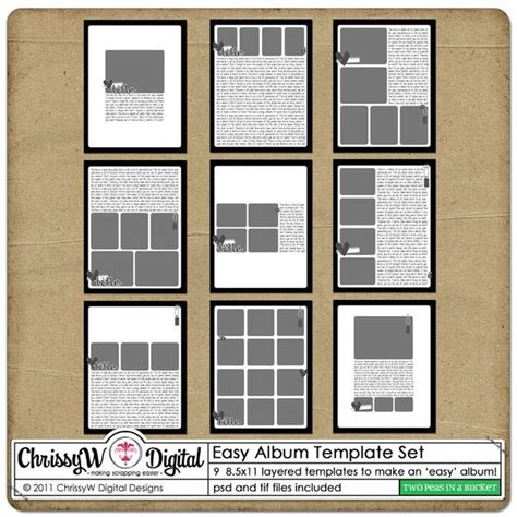 Image result for Album Review Example