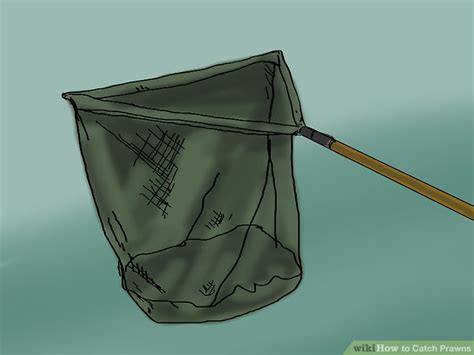 Image result for Catching Prawns