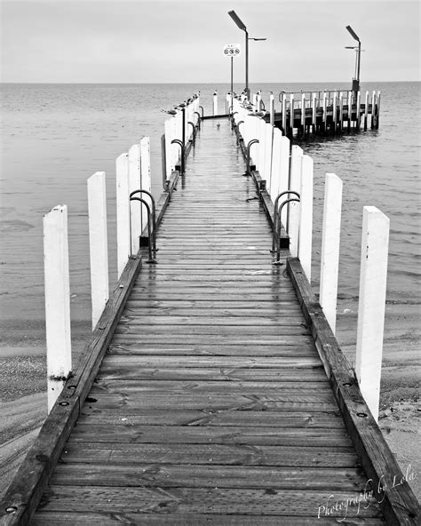 Image result for Depth of Field Photography Examples