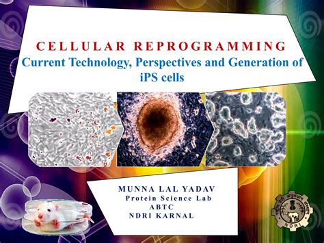 Image result for Cellular Reprogramming