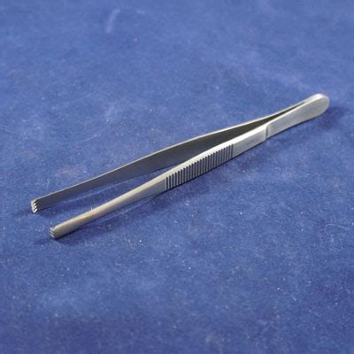Tissue Forceps - United Biosciences