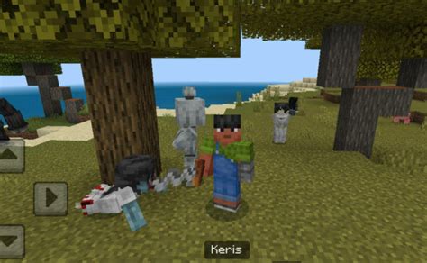 Image result for Minecraft Ghost Mod