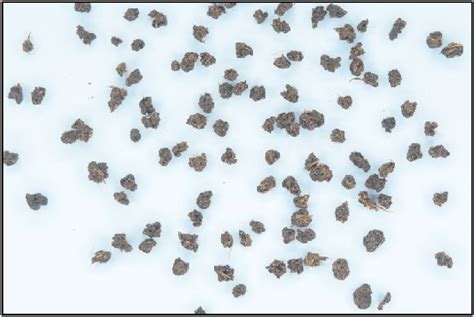 Image result for Convert BMP File 24-Bit RGB Color