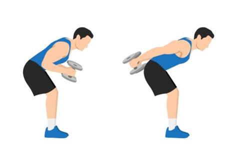 Image result for Tricep Kickbacks Form