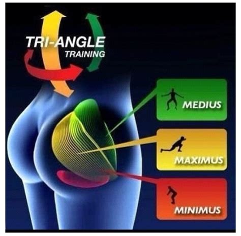 Image result for Bisect Workouts