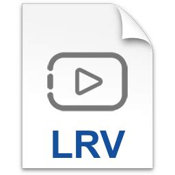 Image result for How to Tag LRV Files