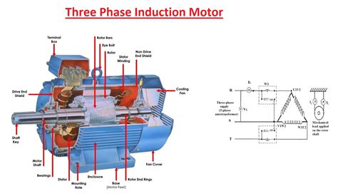 Image result for Three-Phase Induction Motor Animation