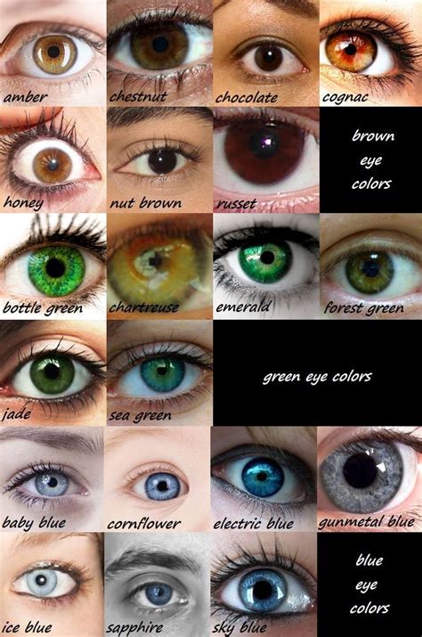 Image result for Eye Color Check