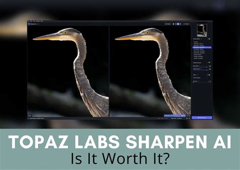Image result for Topaz Labs Sharpen AI Tutorial