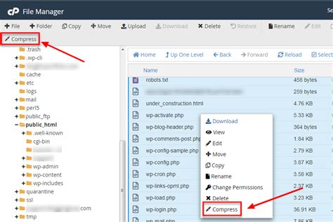 Image result for Compressed Archive File