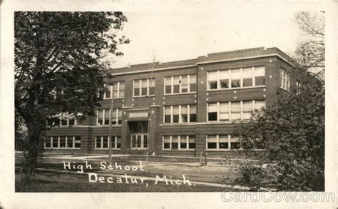 Image result for Decatur Michigan School Logo