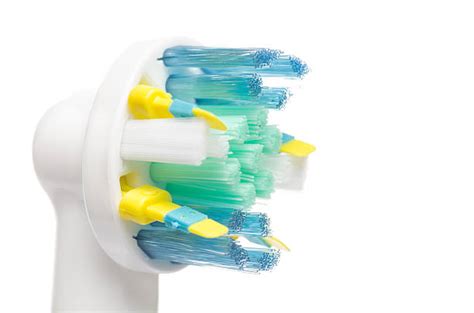 Image result for Toothbrush Front View