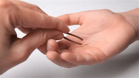 Image result for Small Splinter