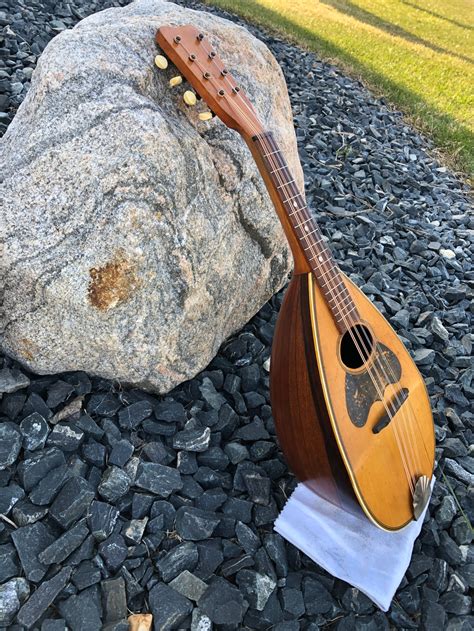 Image result for Round Back Mandolin