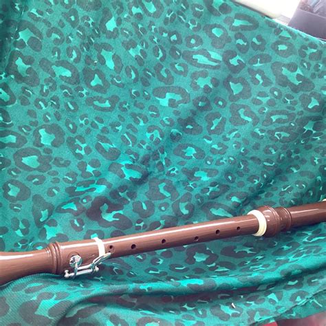 Image result for Tenor Recorder Performance