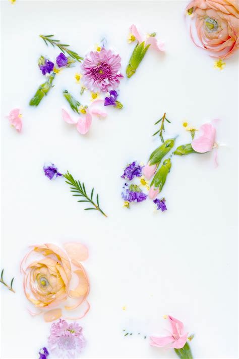 Image result for Status Flower