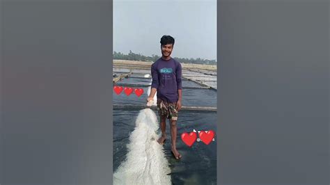 Image result for Patsy Laboner