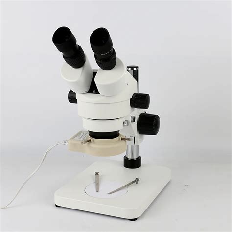 Image result for Stereo Microscope Magnification
