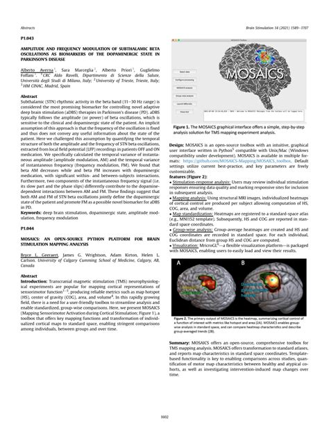Image result for Python MATLAB Brain Surface