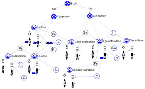 Image result for Lac Operon Mutations
