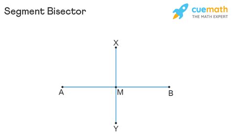 Image result for Segment Bisector Real Life Example