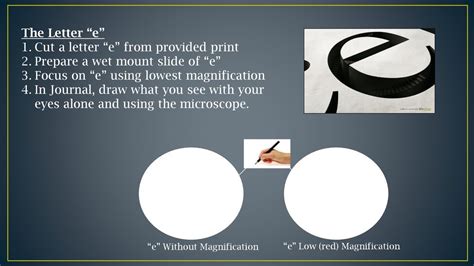 Image result for Science Letter E