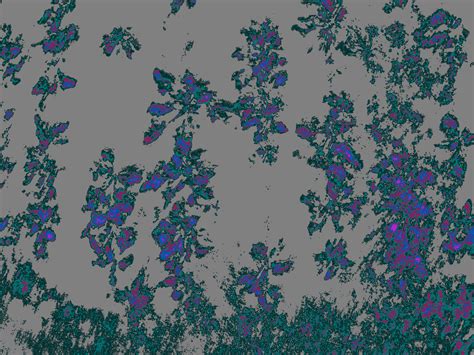 Image result for Weed Detection Using Python