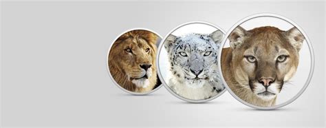 Image result for Mac Notes