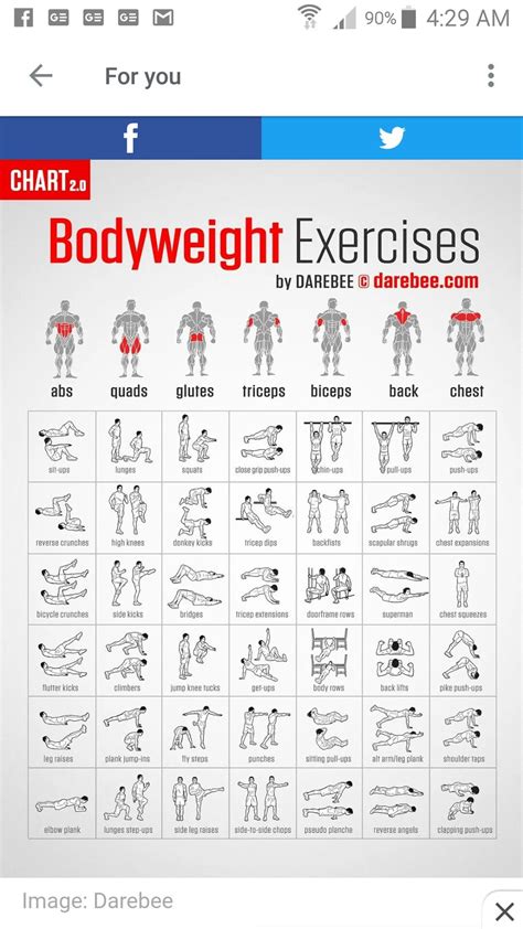 Image result for Stretching Exercise Chart