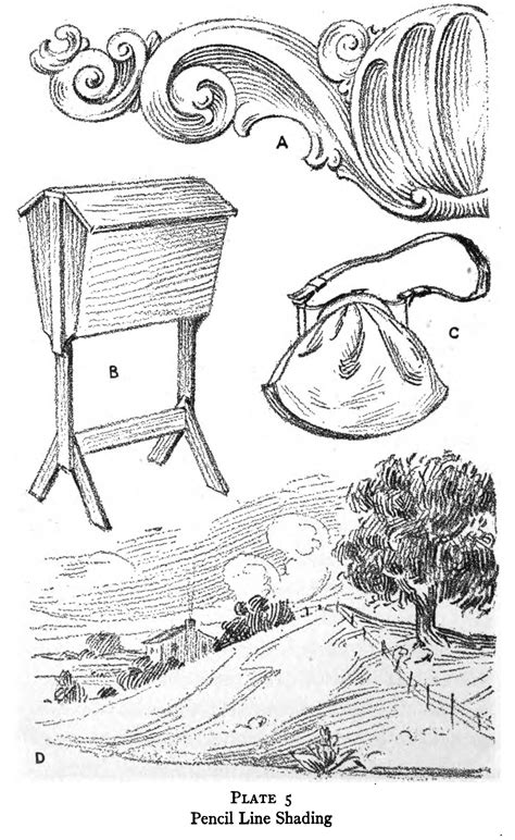 Image result for Object Drawing Form Line