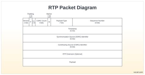 Image result for RTP Protocol Tutorial