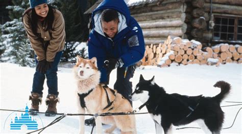 Image result for Snow Dogs Disney Channel Promo