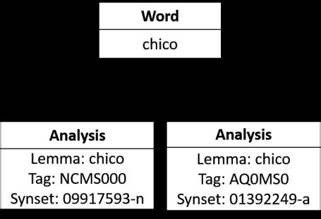 Image result for Word Analysis Examples