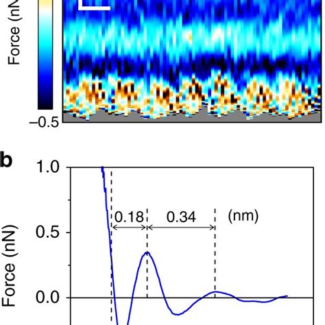 Image result for AFM Force Distance Graph