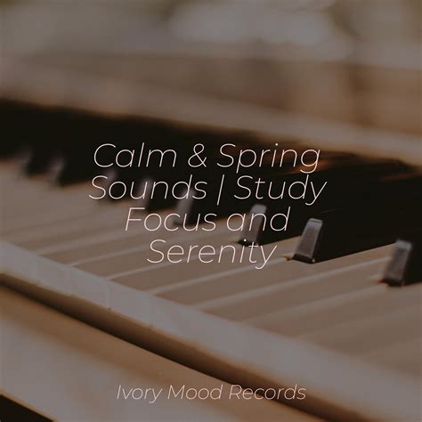 Image result for Calm Spring Music