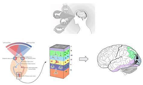 Image result for Data Movement Vector