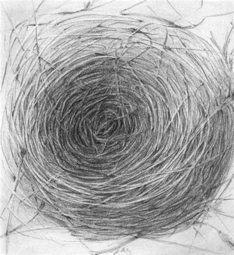 Image result for Drawing with Powdered Graphite