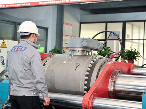 Image result for Gate Valve Shell Test