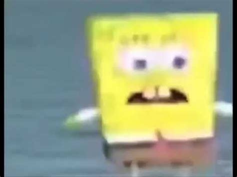Image result for Spongebob Evolution Meme